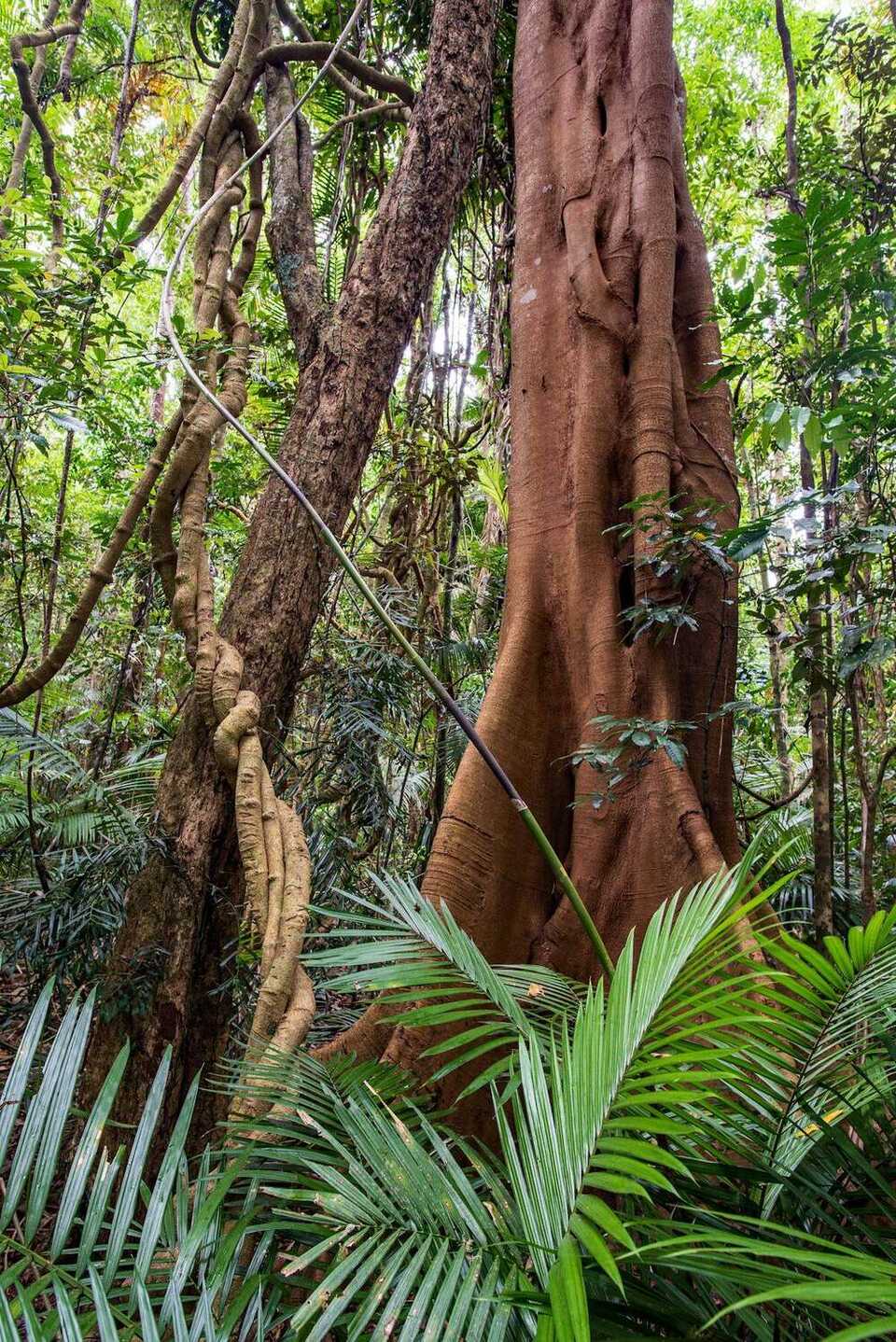 Gondwana BioReserve